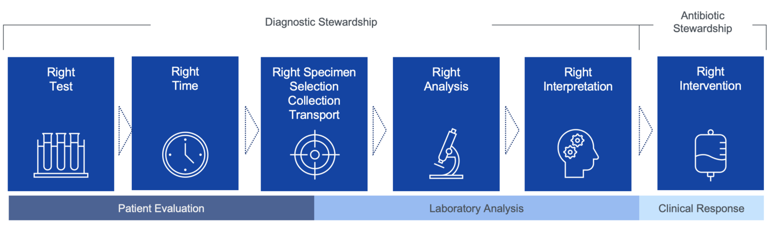 Blood Culture Accuracy is Vital for Patient Care Quality and Requires ...